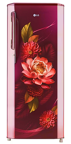 LG 261 L 3 Star Direct Cool Single Door Refrigerator (Red Water Lily ...